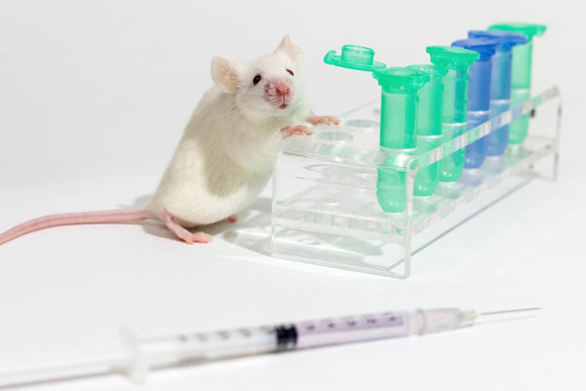 Researchers find way to prevent fatal viral infection - Insight