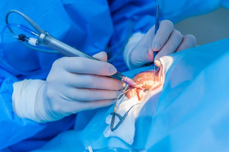 How eye surgery fared in 2023-24 AIHW wait time report card - Insight