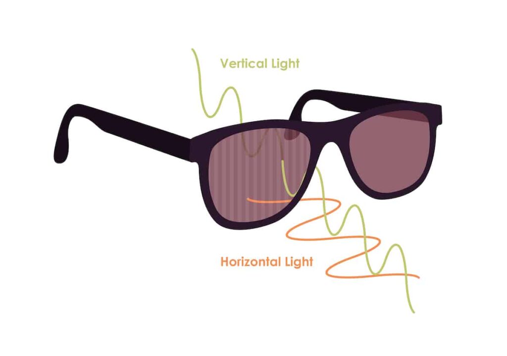 Understanding polarised light - Insight